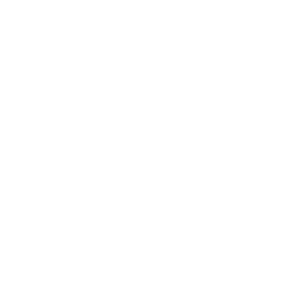 Red Zone - Salunda